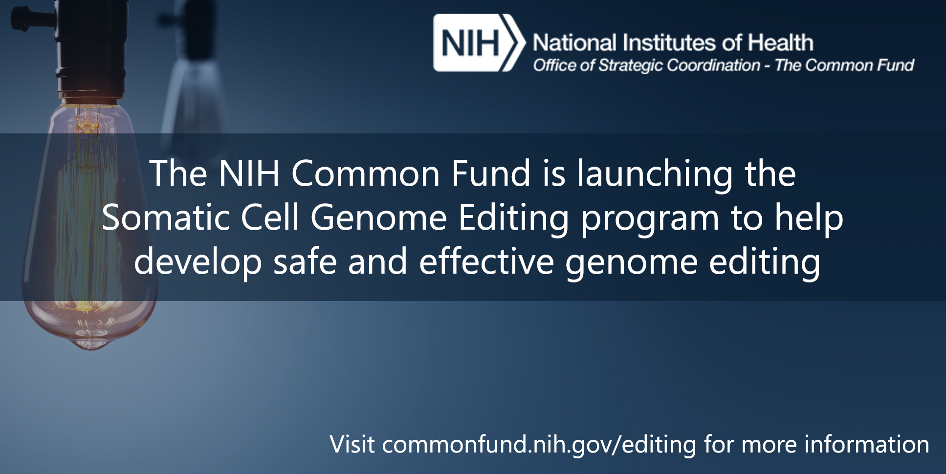 Somatic Cell Genome Editing | NIH Common Fund